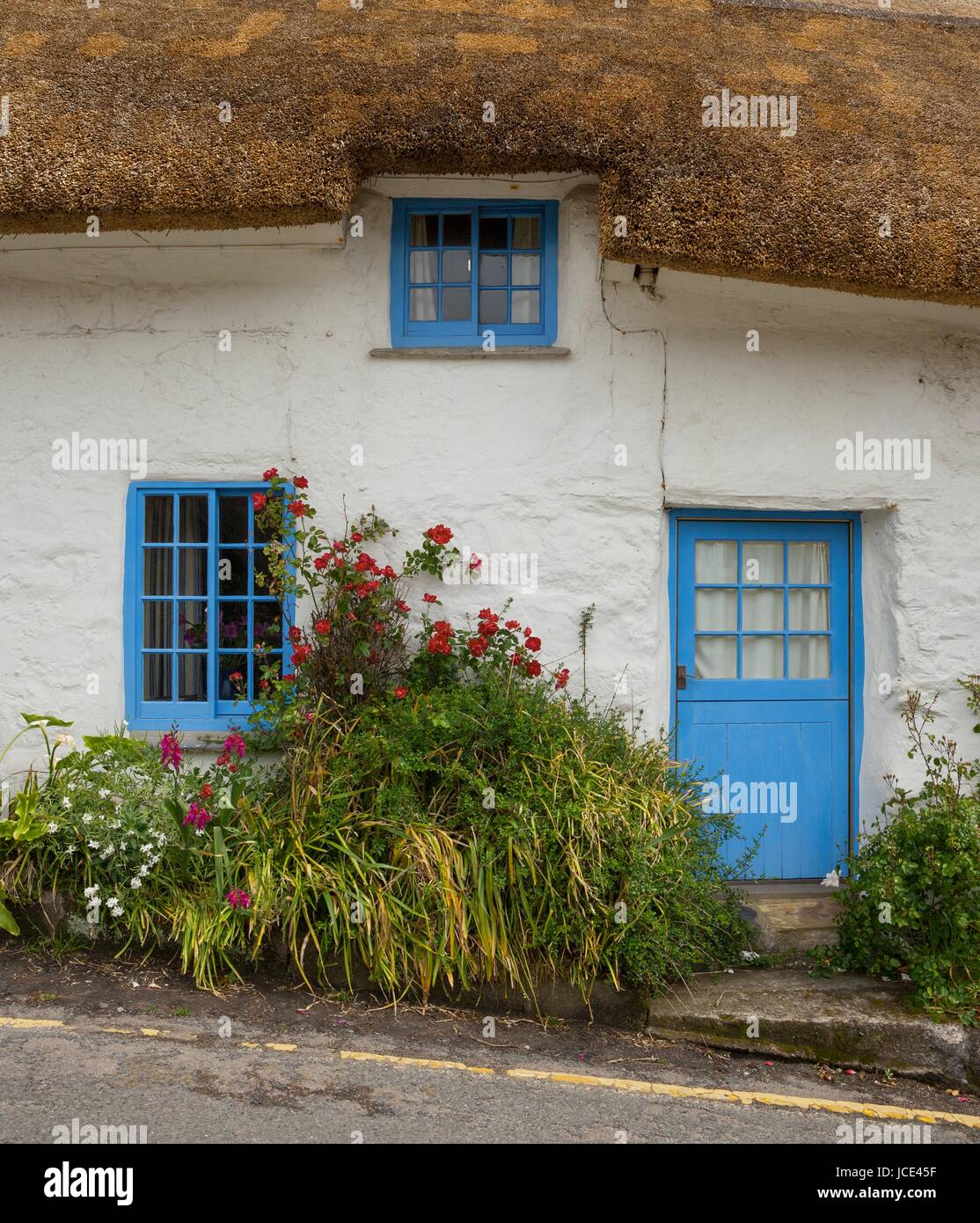 Cornish thatched cottage roof hi-res stock photography and images - Alamy