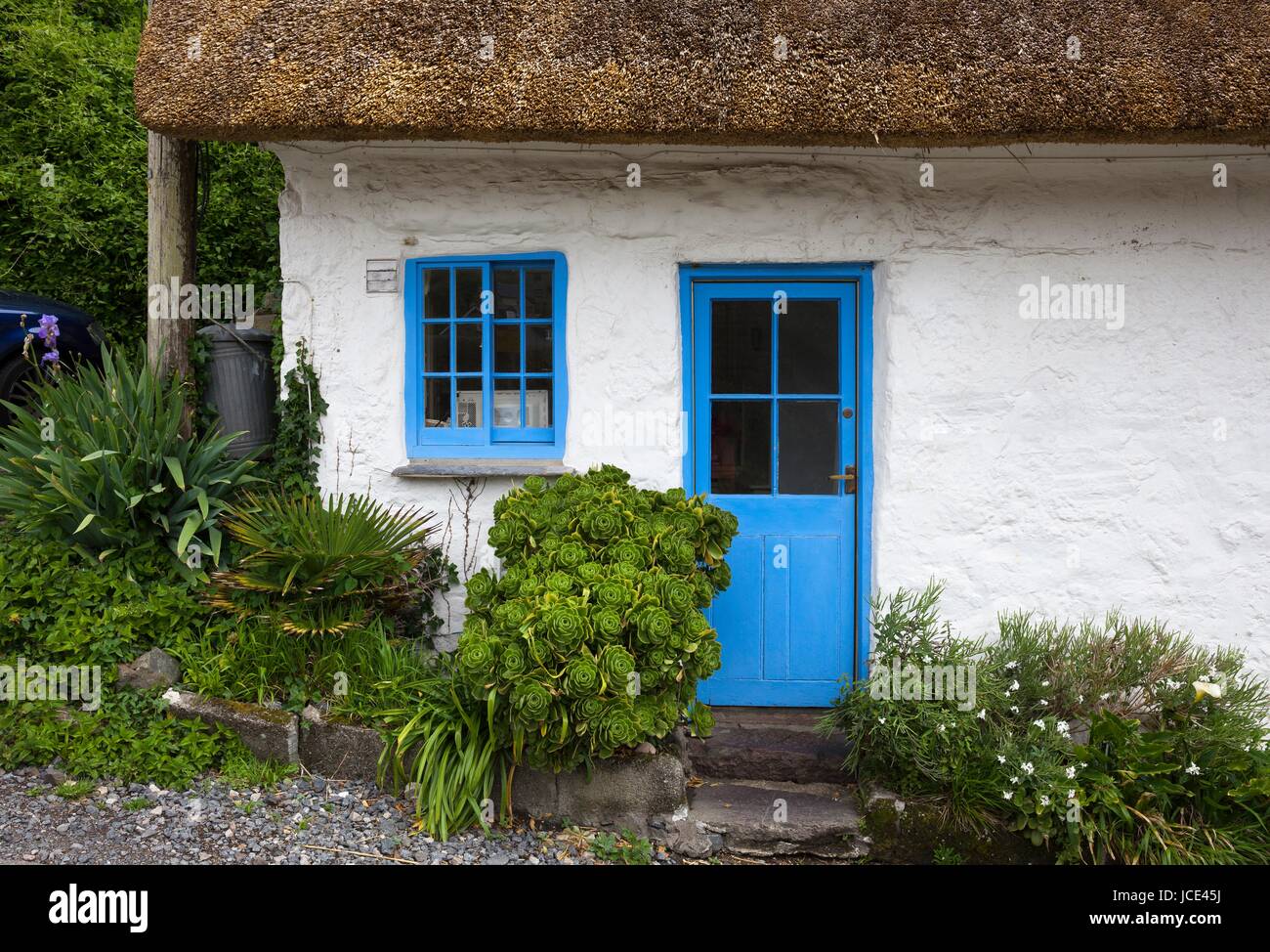 White washed thatch cottage hi-res stock photography and images - Alamy