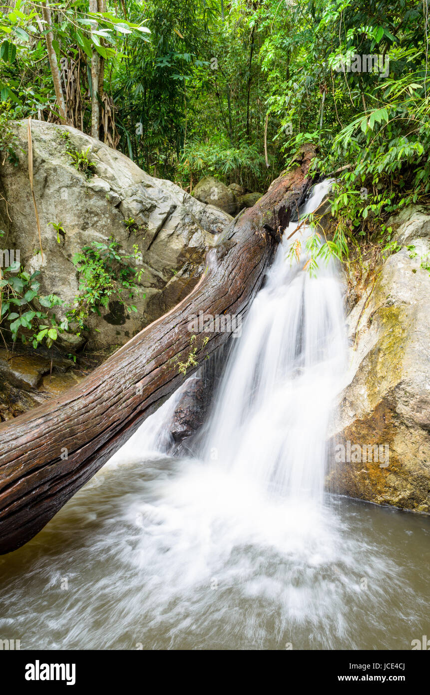 Small stream waterfall in rainforest of Thailand Stock Photo - Alamy