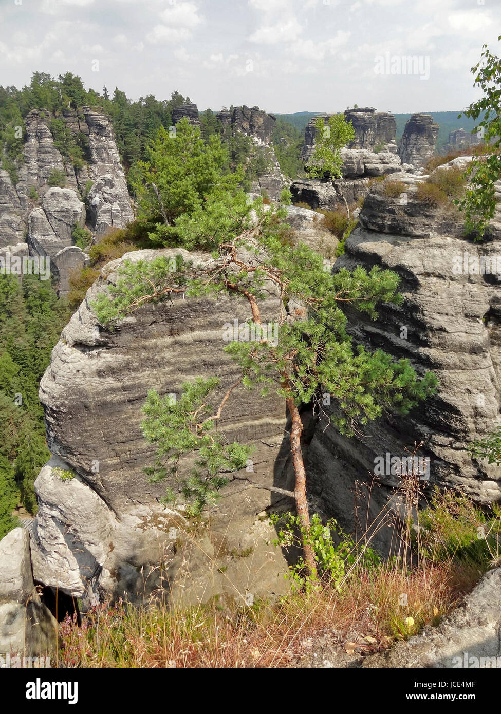 German area in Saxony named Saxon Switzerland. It is a climbing area ...
