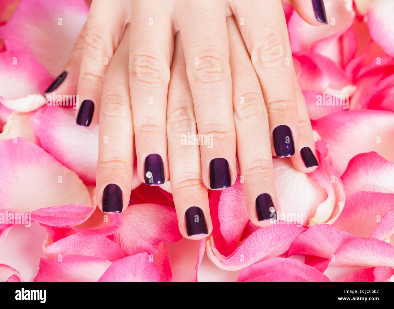 Woman holding handful of flower petals hi-res stock photography and ...