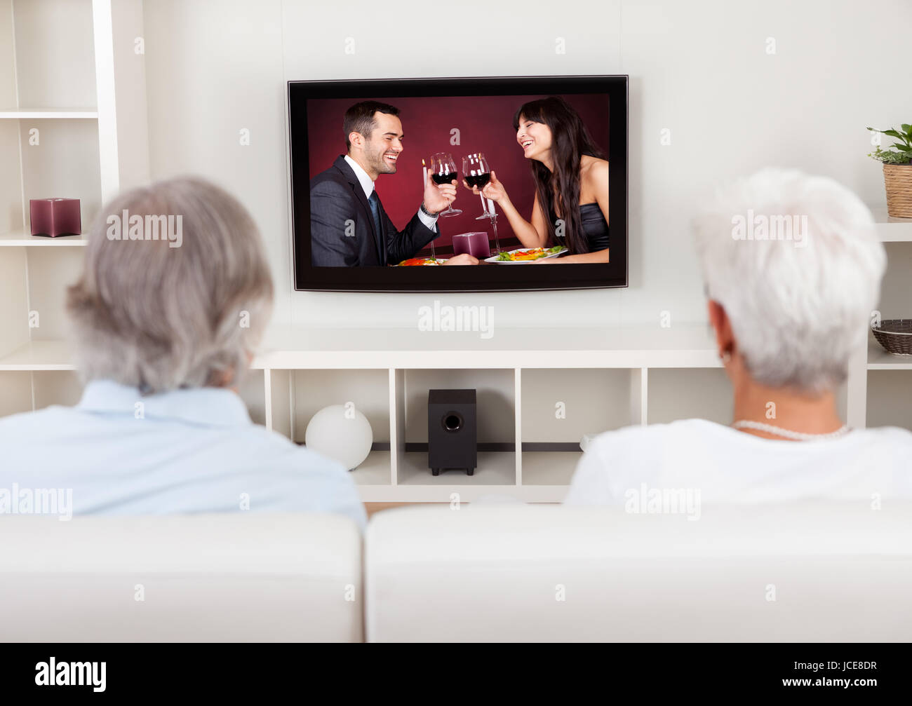 Rear view of a couple watching television with a scene on the screen of ...