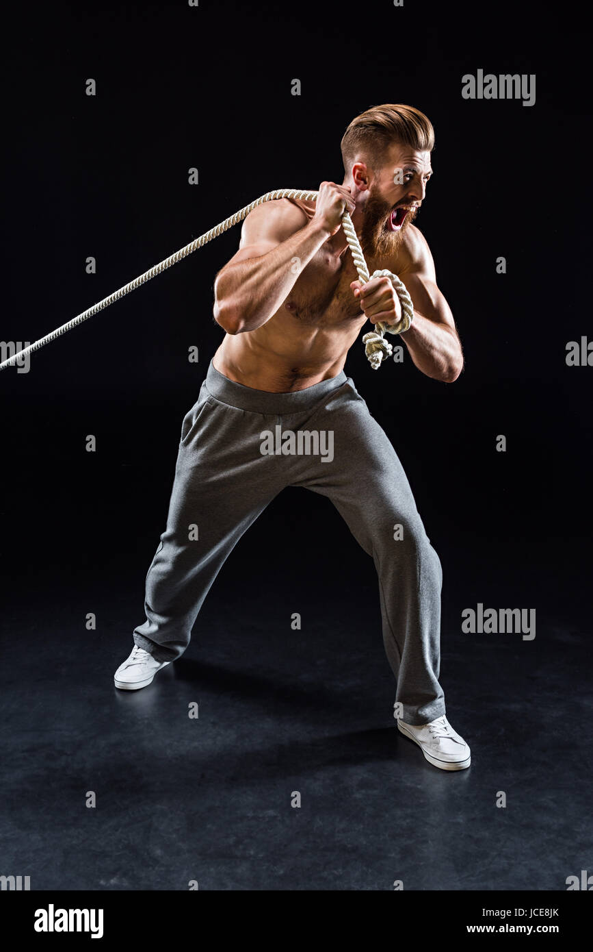 handsome bearded sportsman yelling and pulling rope isolated on black ...
