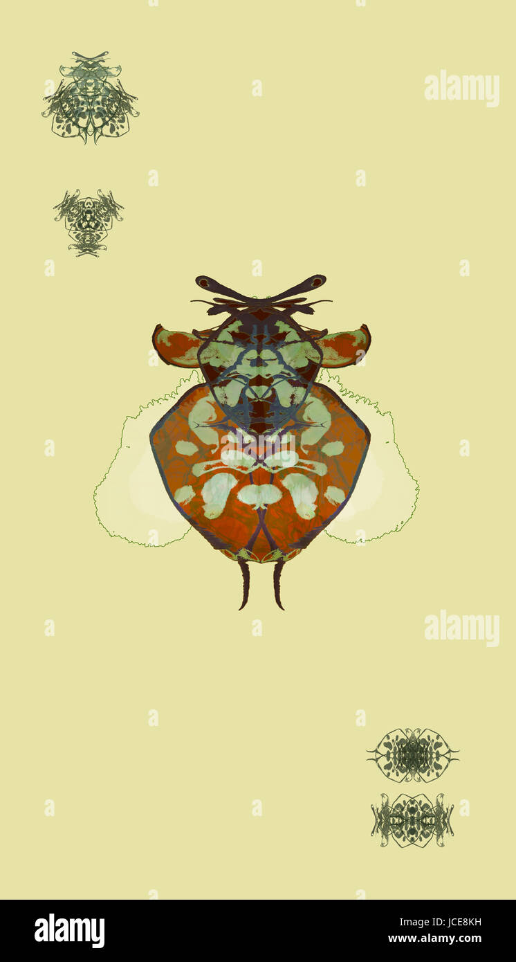 Specimen Series Hammer Head Lady Bug Stock Photo - Alamy