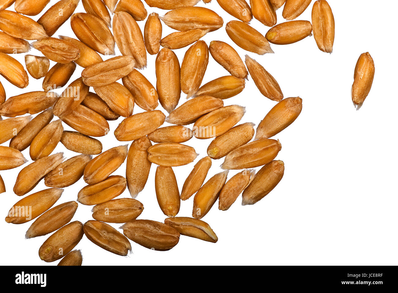 Spelt kernels hi-res stock photography and images - Alamy