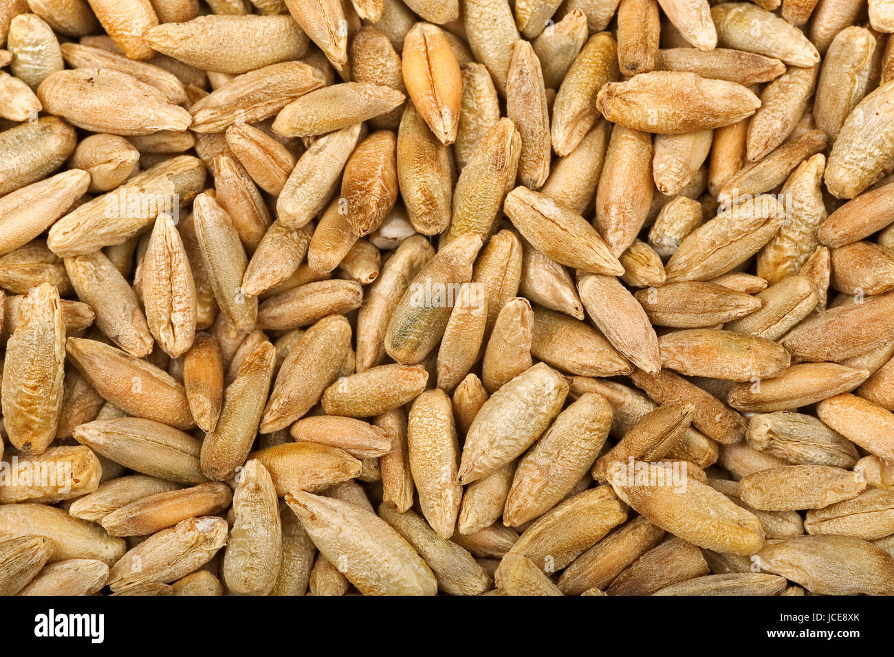 whole rye kernels macro background Stock Photo - Alamy
