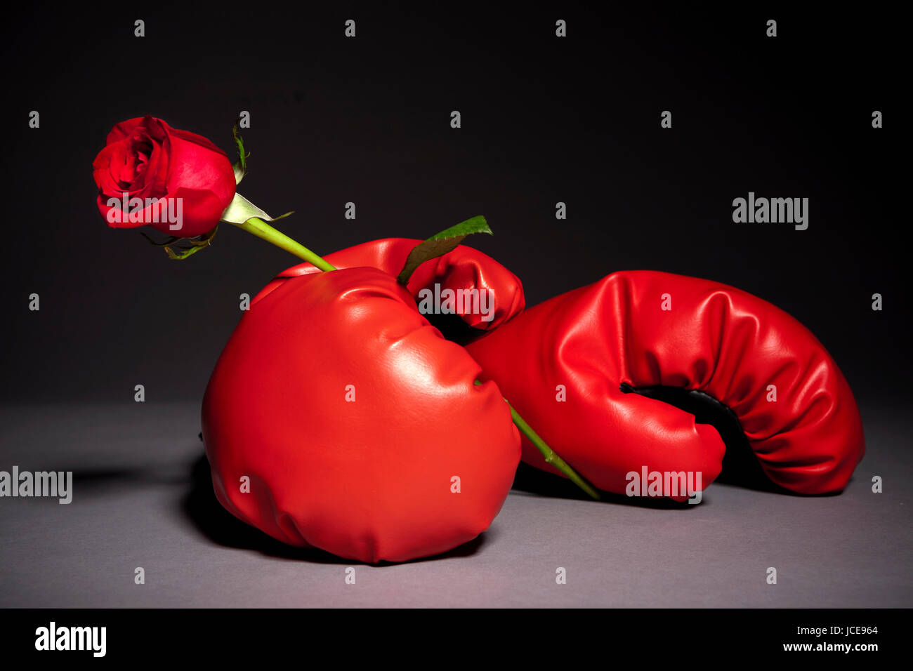 red rose held by boxing glove on dark background Stock Photo - Alamy