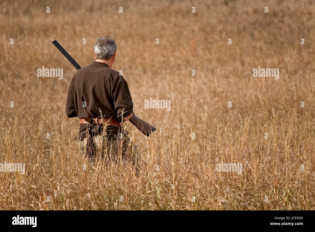hunter walking in tall grass with rifle in hands Stock Photo - Alamy