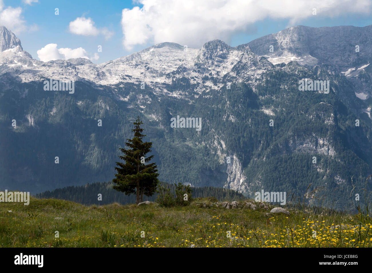 Almwiesen von pecol hi-res stock photography and images - Alamy