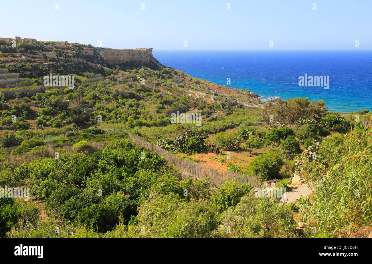 Coastal scenery San Blas bay, island of Gozo, Malta Stock Photo - Alamy