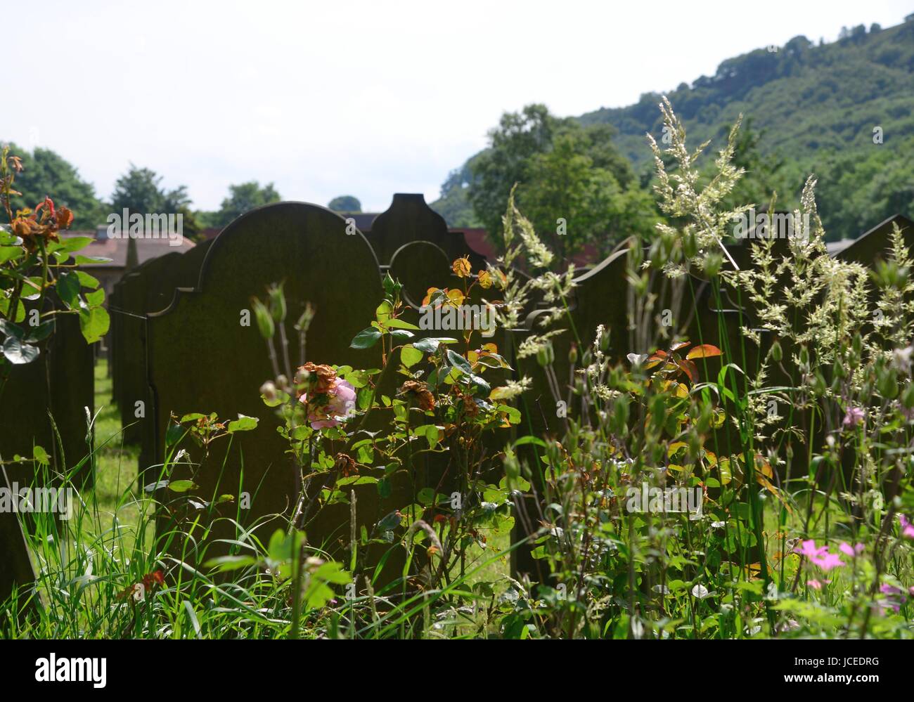 Summer burialground hi-res stock photography and images - Alamy