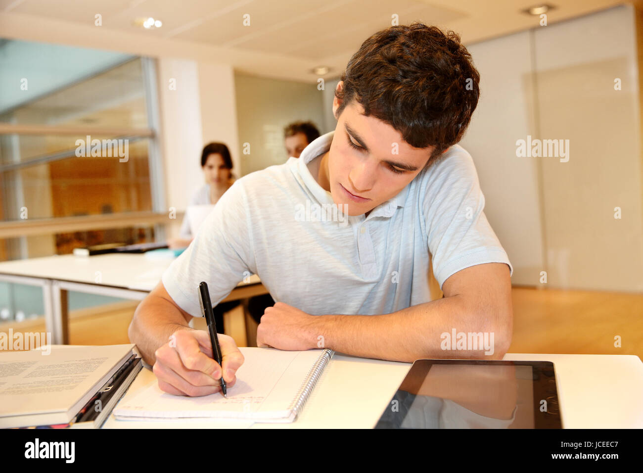 Portrait of student boy writing on notebook Stock Photo - Alamy