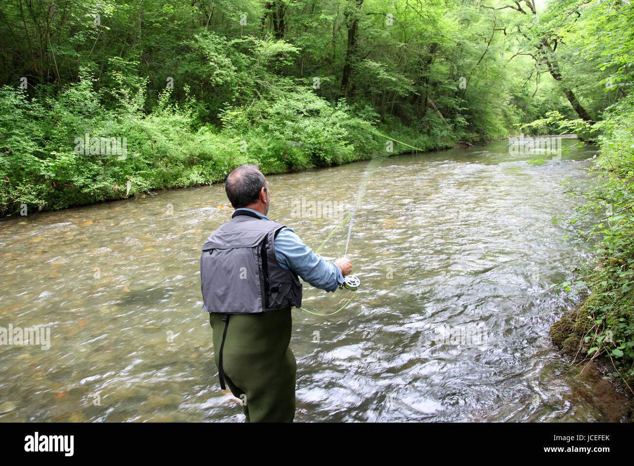Back view of fisherman in river fly fishing Stock Photo - Alamy