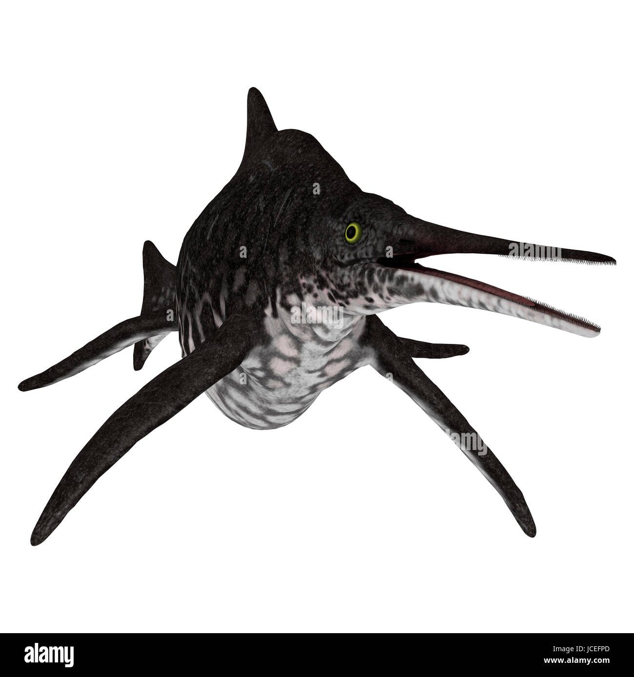 3D digital render of an ichthyosaur shonisaurus isolated on white ...