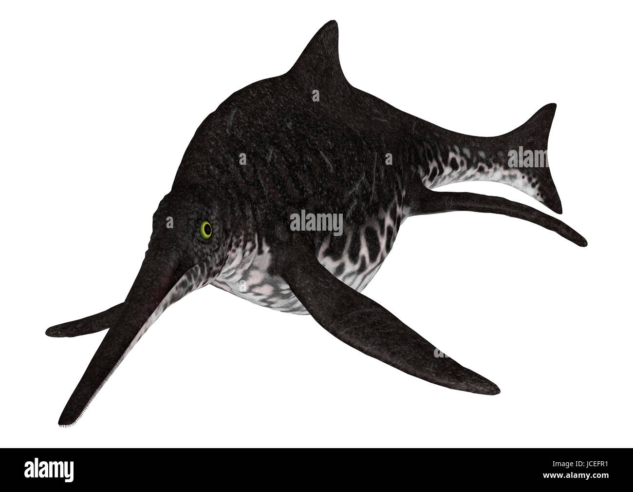 3D digital render of a shonisaurus isolated on white background Stock ...