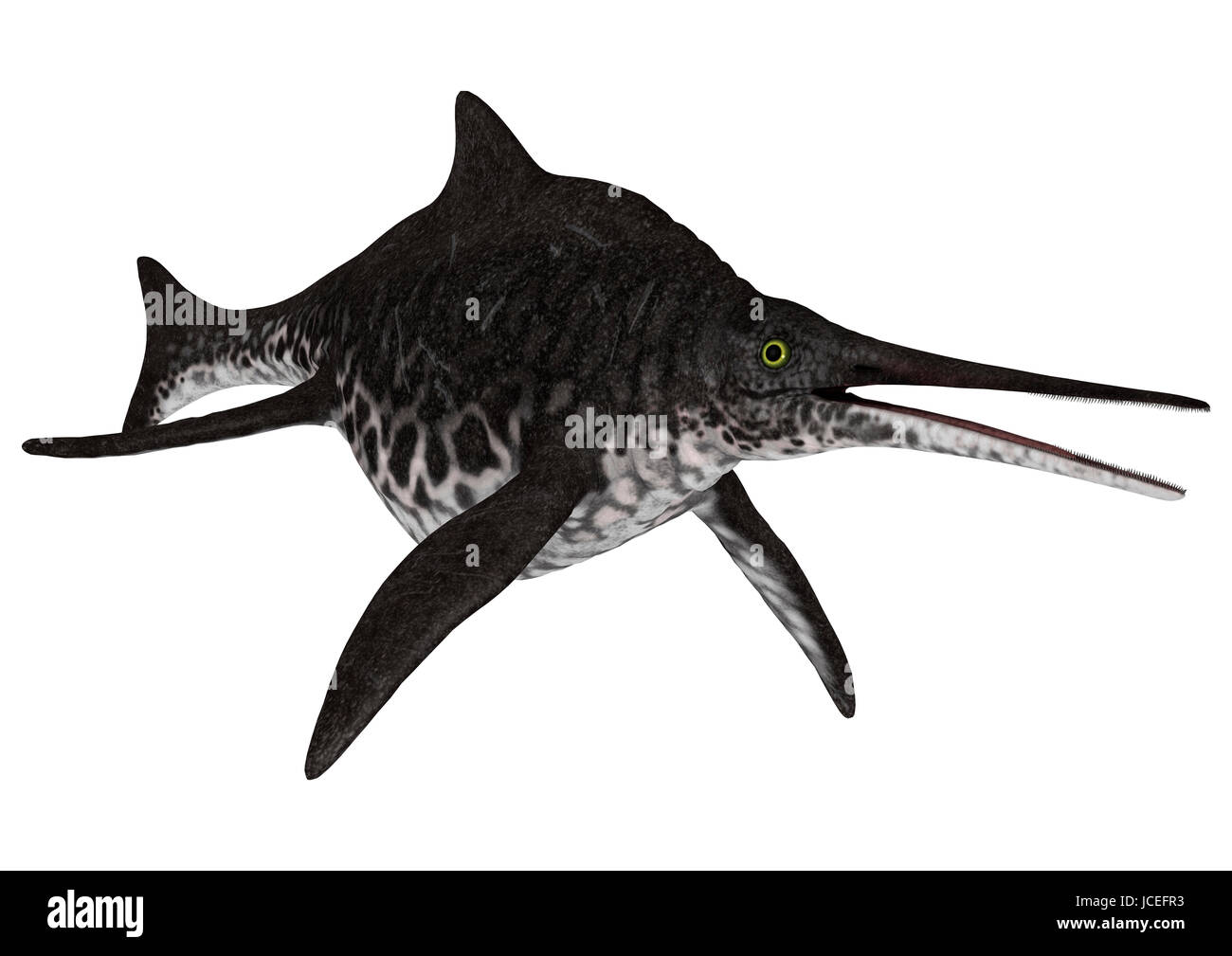 3D digital render of an ichthyosaur shonisaurus isolated on white ...