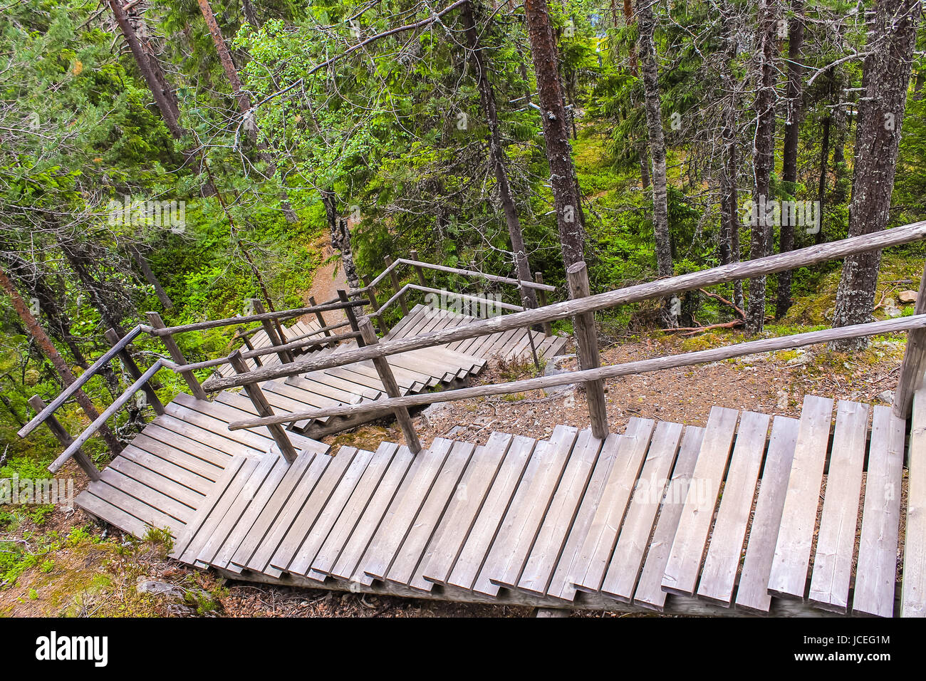 Wooden stairs in the forest Stock Photo - Alamy