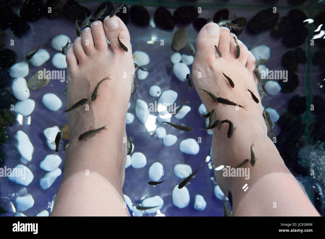 Girl cleaning fish tank hi-res stock photography and images - Alamy