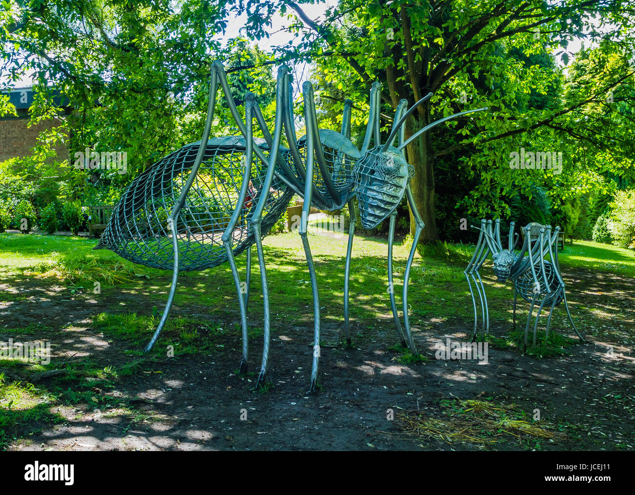Scary bugs hi-res stock photography and images - Alamy