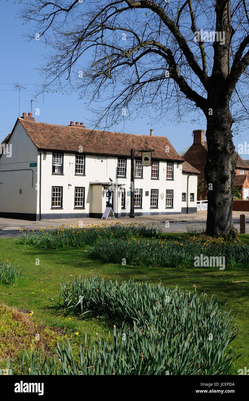 Green Man, Clophill, Bedfordshire Stock Photo - Alamy