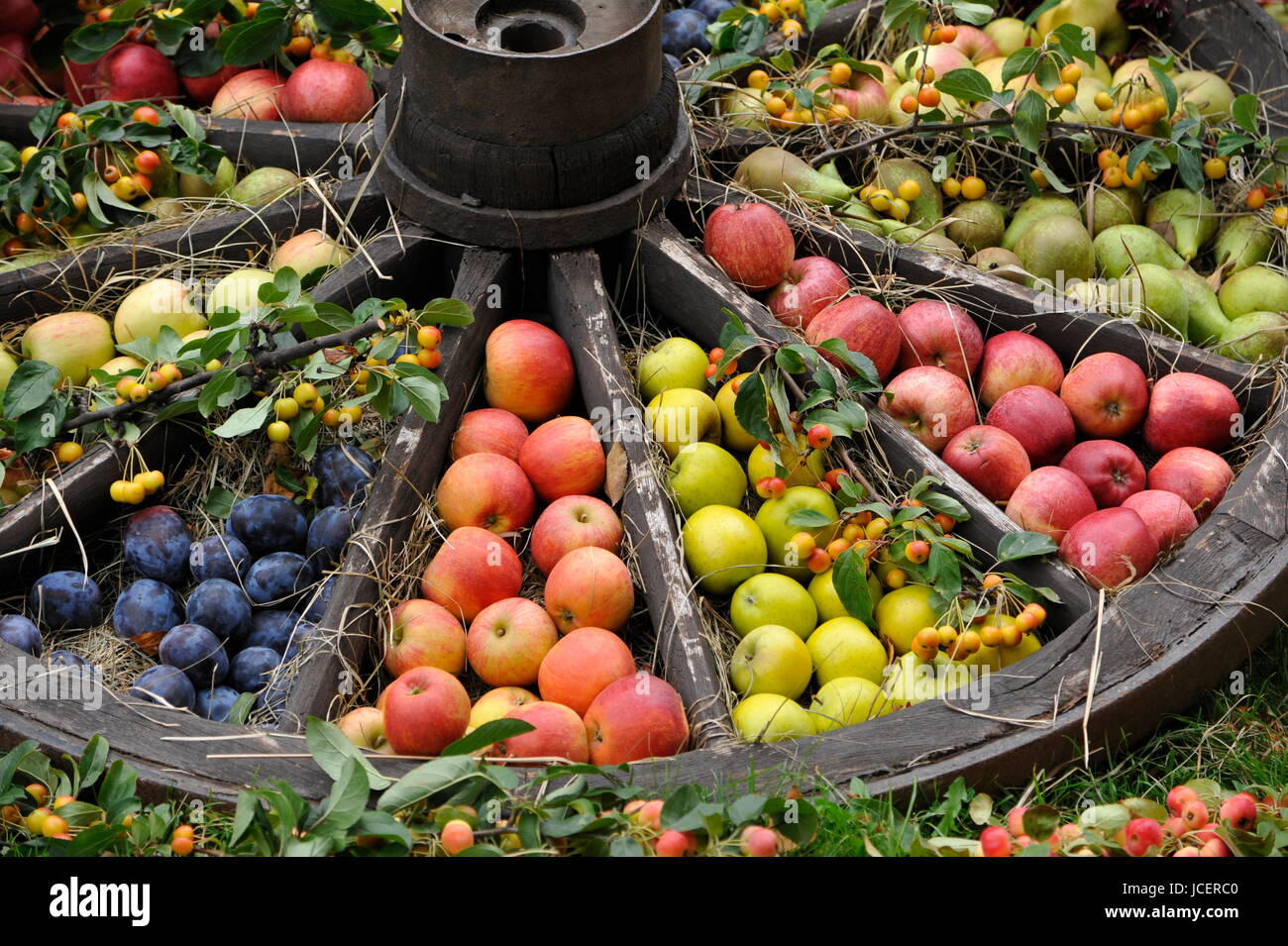 Vegetables and fruits in Herrenhausen Gardens Hanover Germany Stock ...