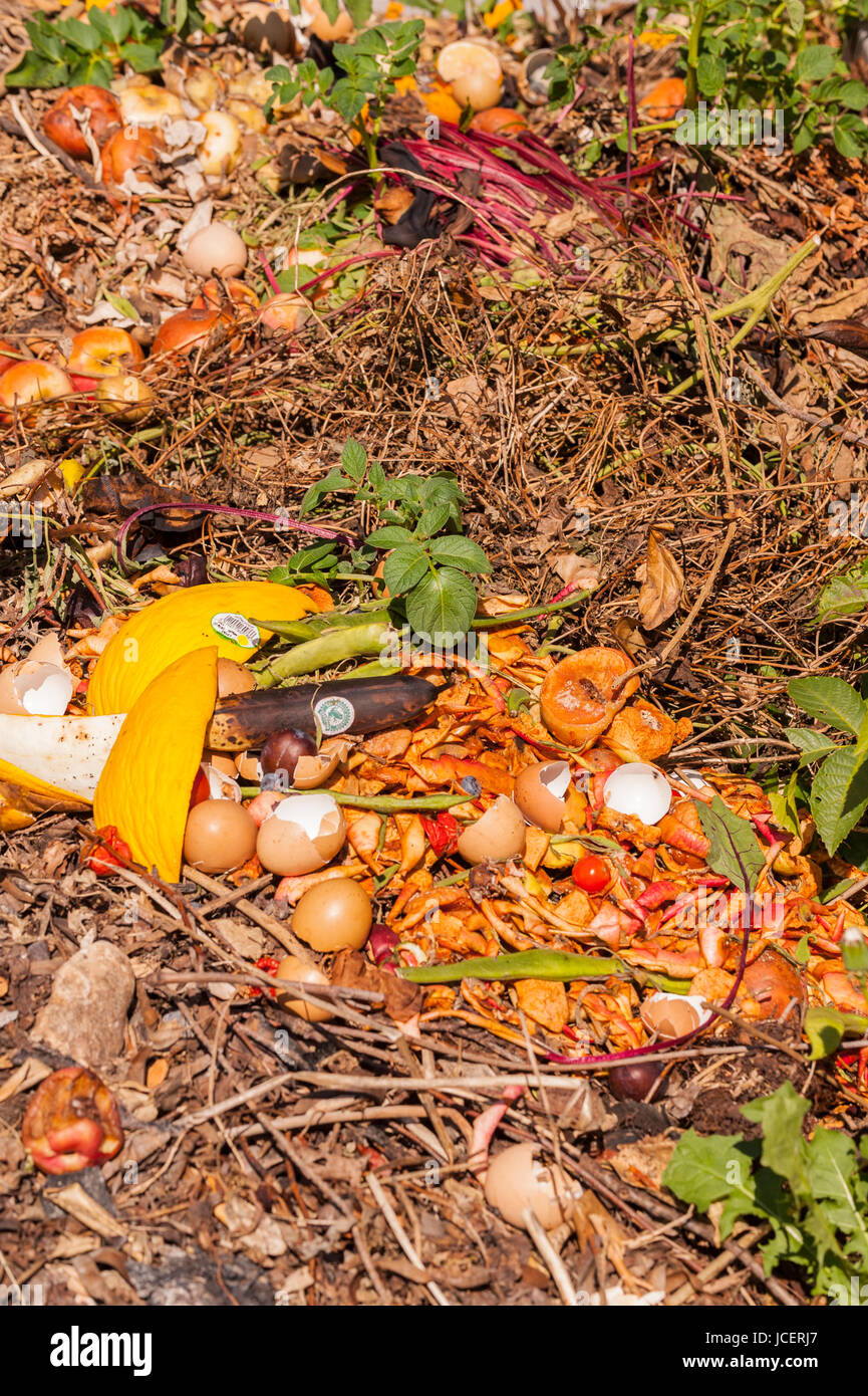 Rotting vegetables hi-res stock photography and images - Alamy