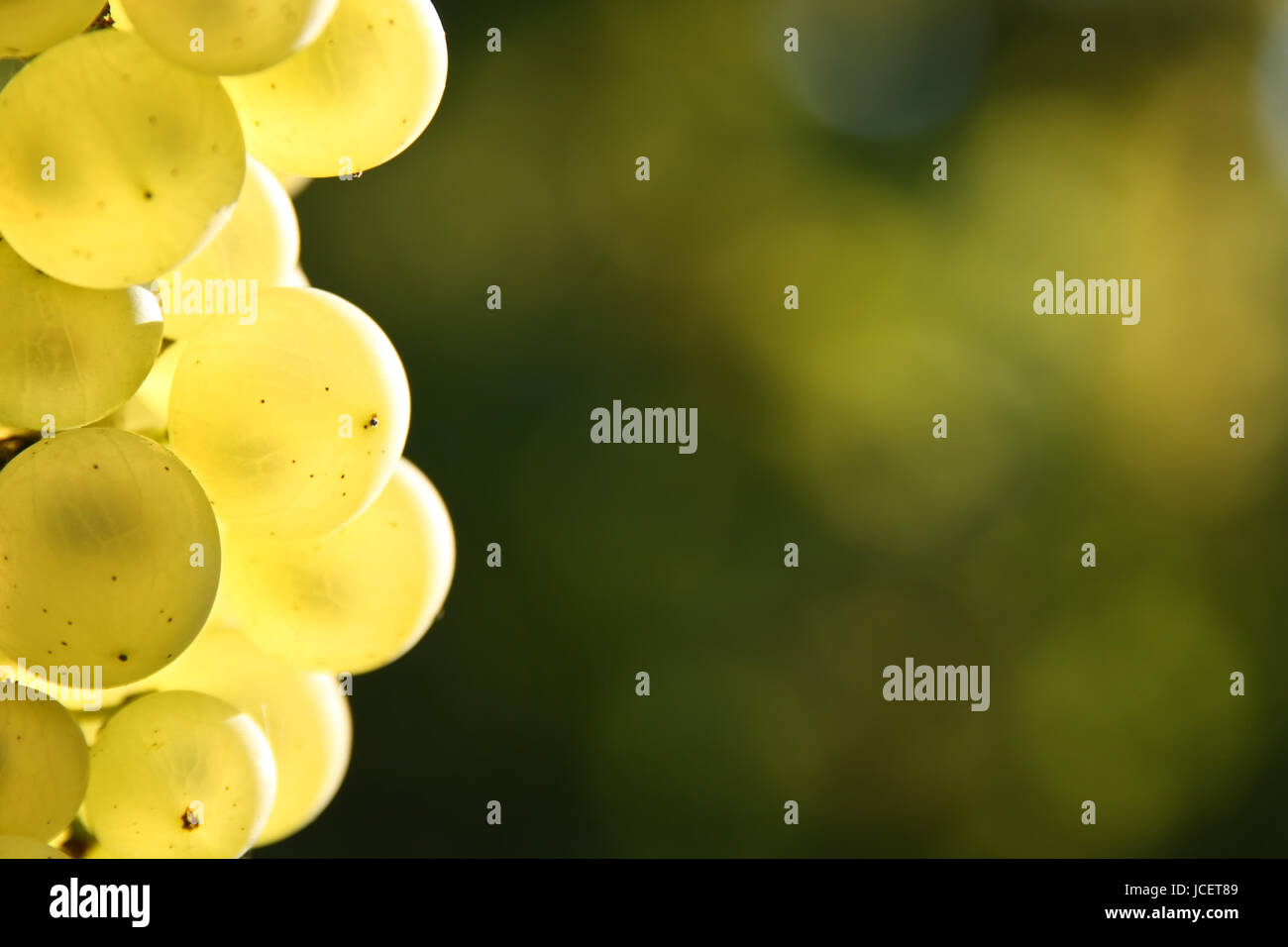background with grapes Stock Photo - Alamy