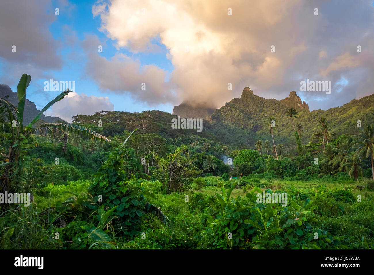 Moorea island jungle and mountains landscape. French Polynesia Stock ...
