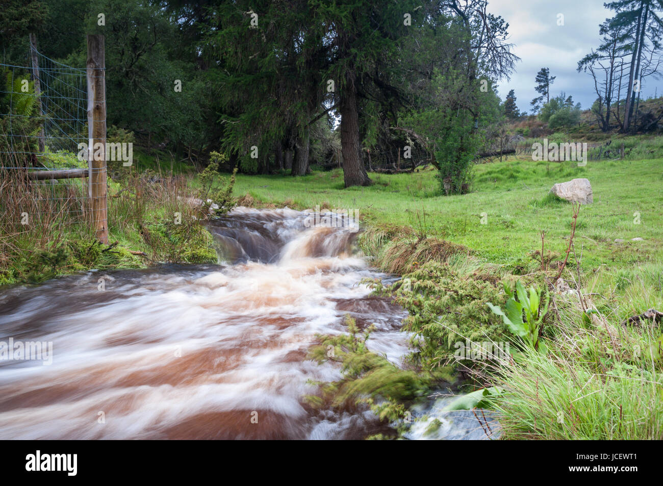 A small Scottish burn in flood after recent rains Stock Photo - Alamy