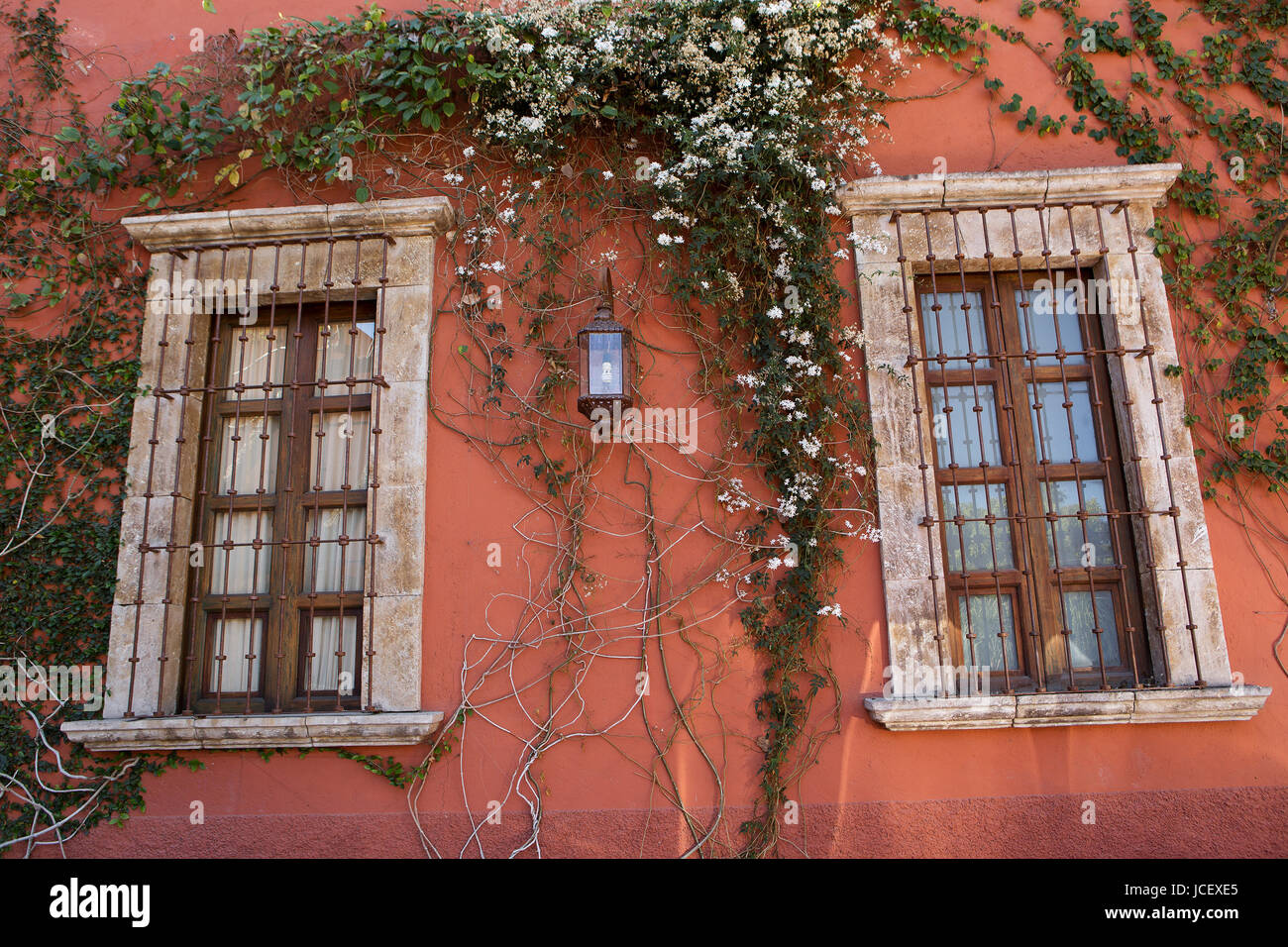 rustic Spanish adobe exterior with vine on the wall Stock Photo - Alamy