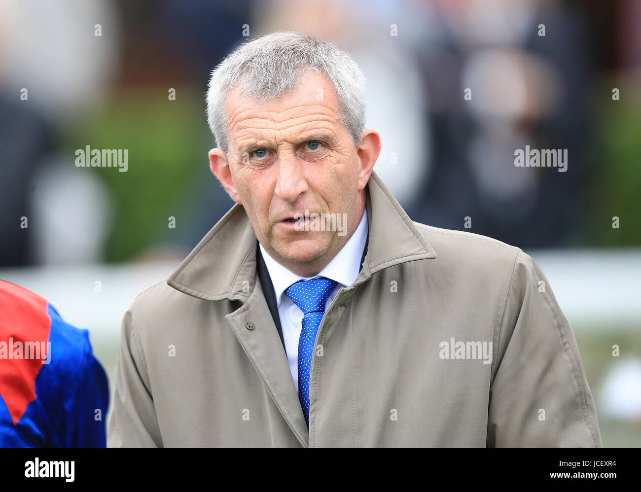 Trainer Peter Niven Stock Photo - Alamy