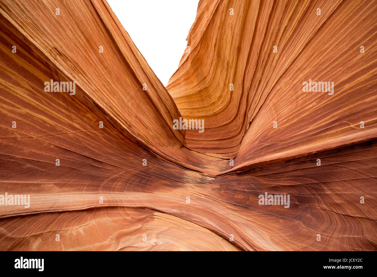 wind carved sandstone wave geological formation in Coyote Butte Stock ...