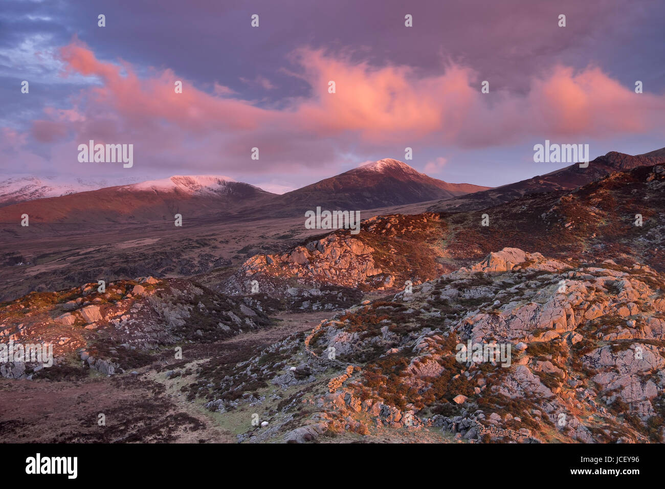 Carneddau mountains hi-res stock photography and images - Alamy
