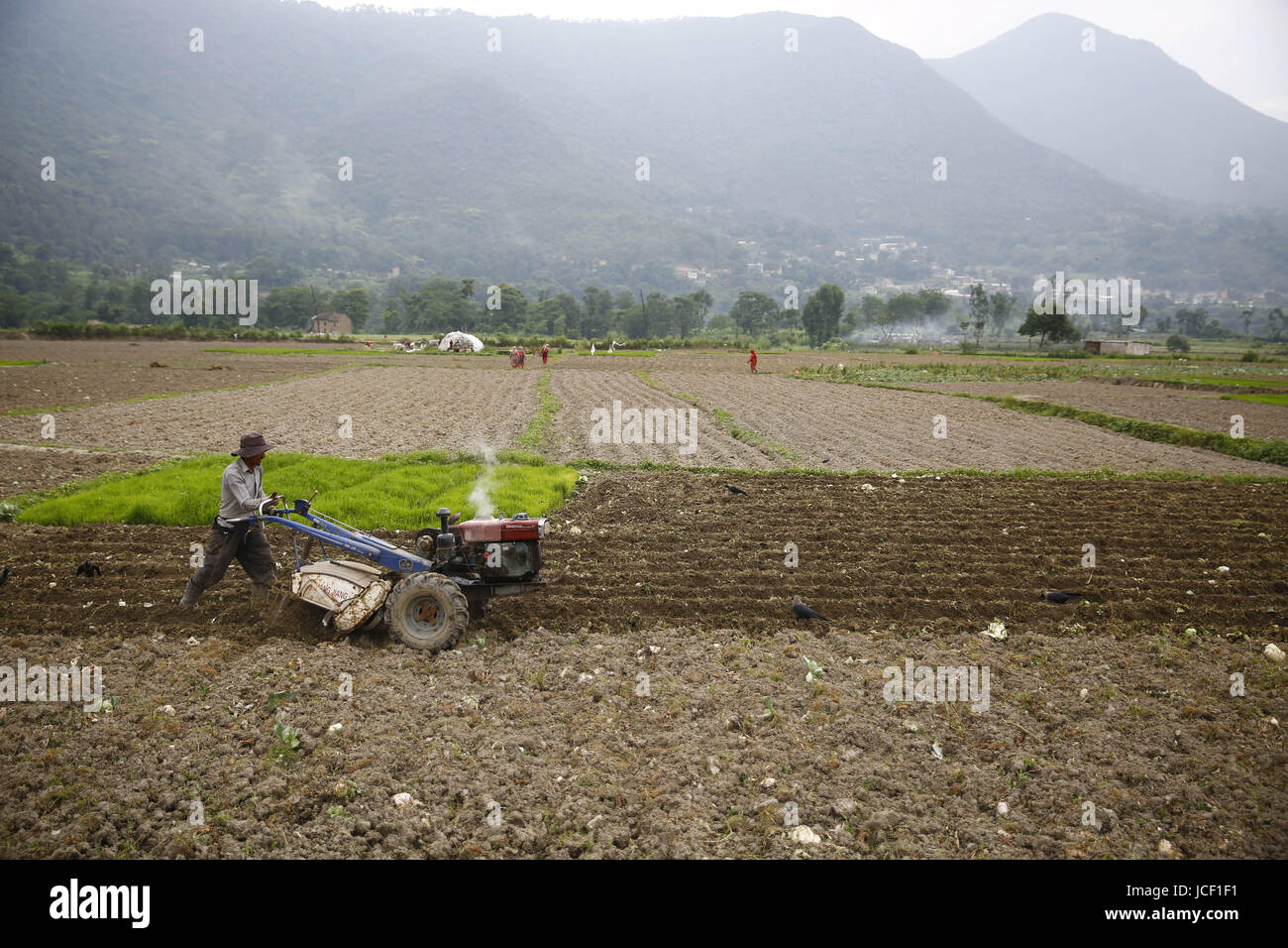 Farmer nepal tractor hi-res stock photography and images - Alamy