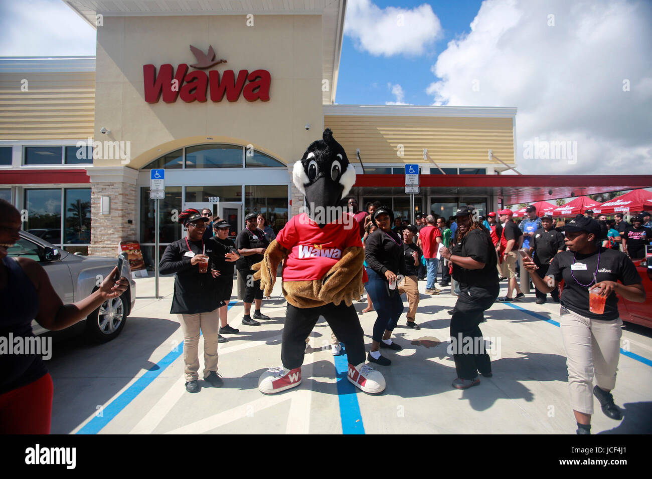 June 15, 2017 - Florida, U.S. - Wawa mascot Wally dances with employees ...