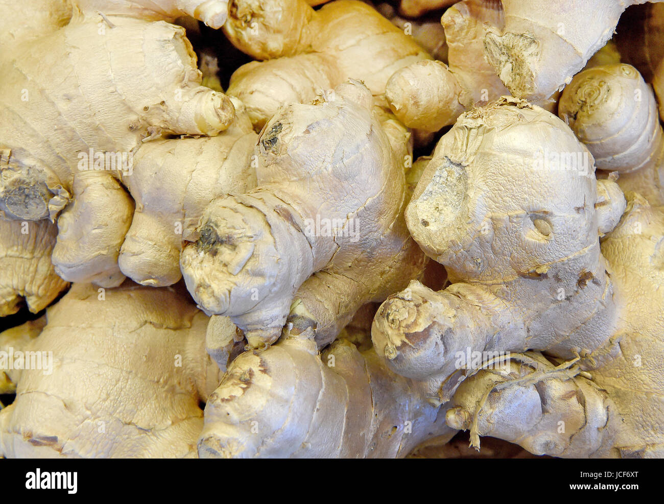 Langenhagen, Germany. 13th June, 2017. Ginger can be seen at the weekly ...