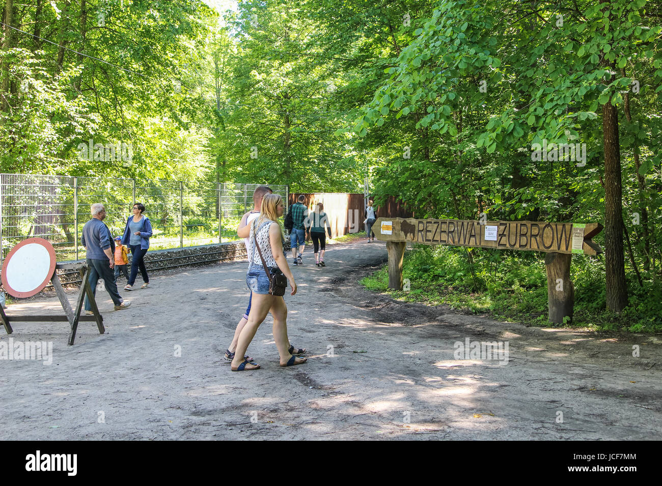 Bialoweza, Poland. 15th June, 2017. People walking to European bison ...