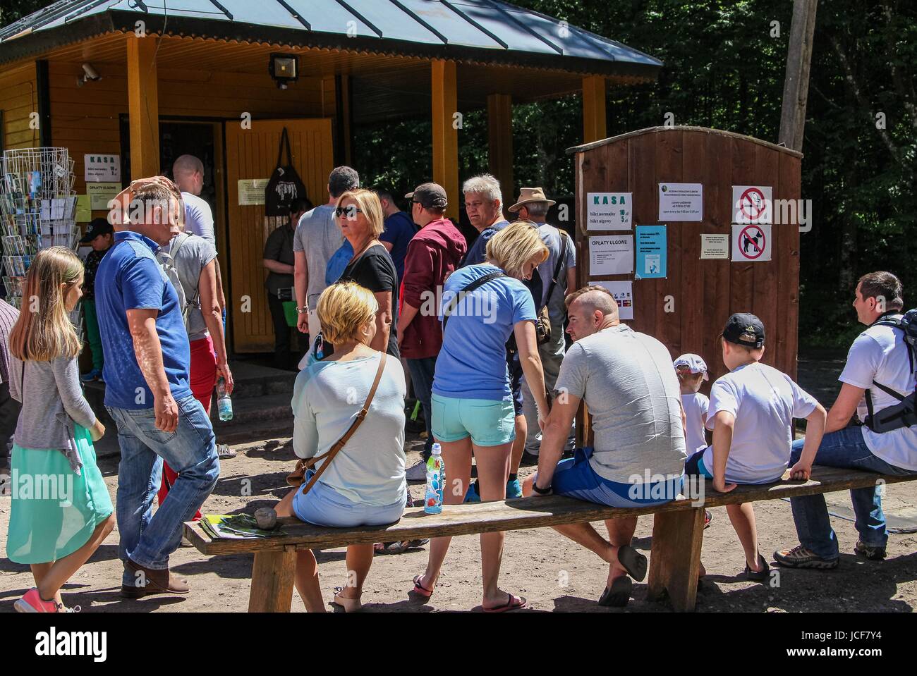 Bialoweza, Poland. 15th June, 2017. People walking to European bison ...