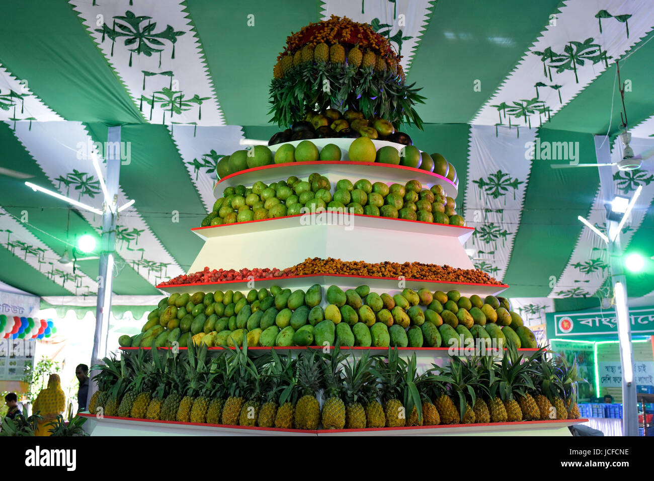 Dhaka, Bangladesh. 16th June, 2017. DHAKA, BANGLADESH - JUNE 16, 2017 ...