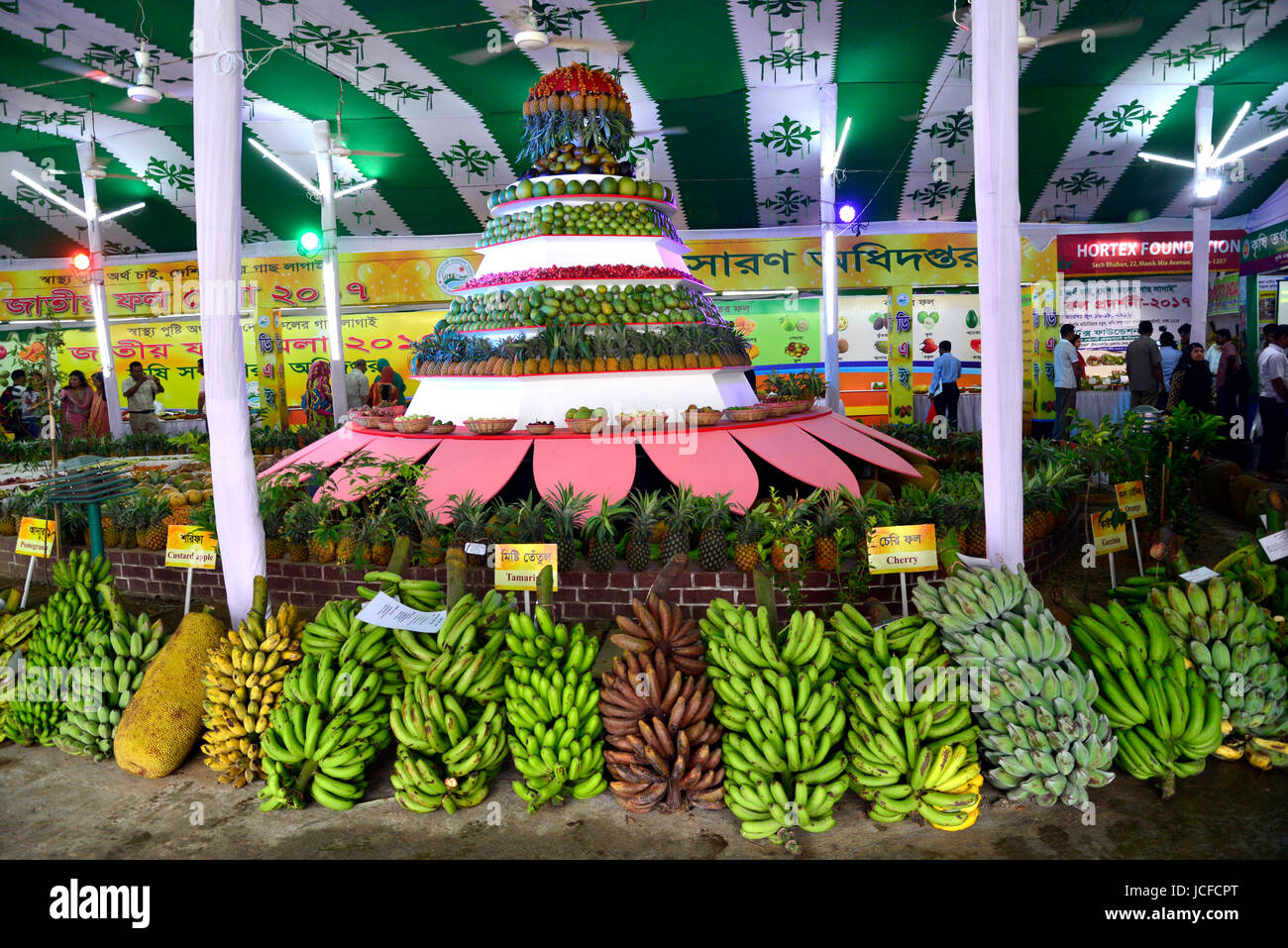 Bangladeshi national fruit High Resolution Stock Photography and Images ...