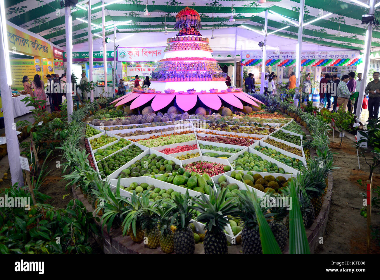 Dhaka, Bangladesh. 16th June, 2017. Bangladesh peoples visits the ...