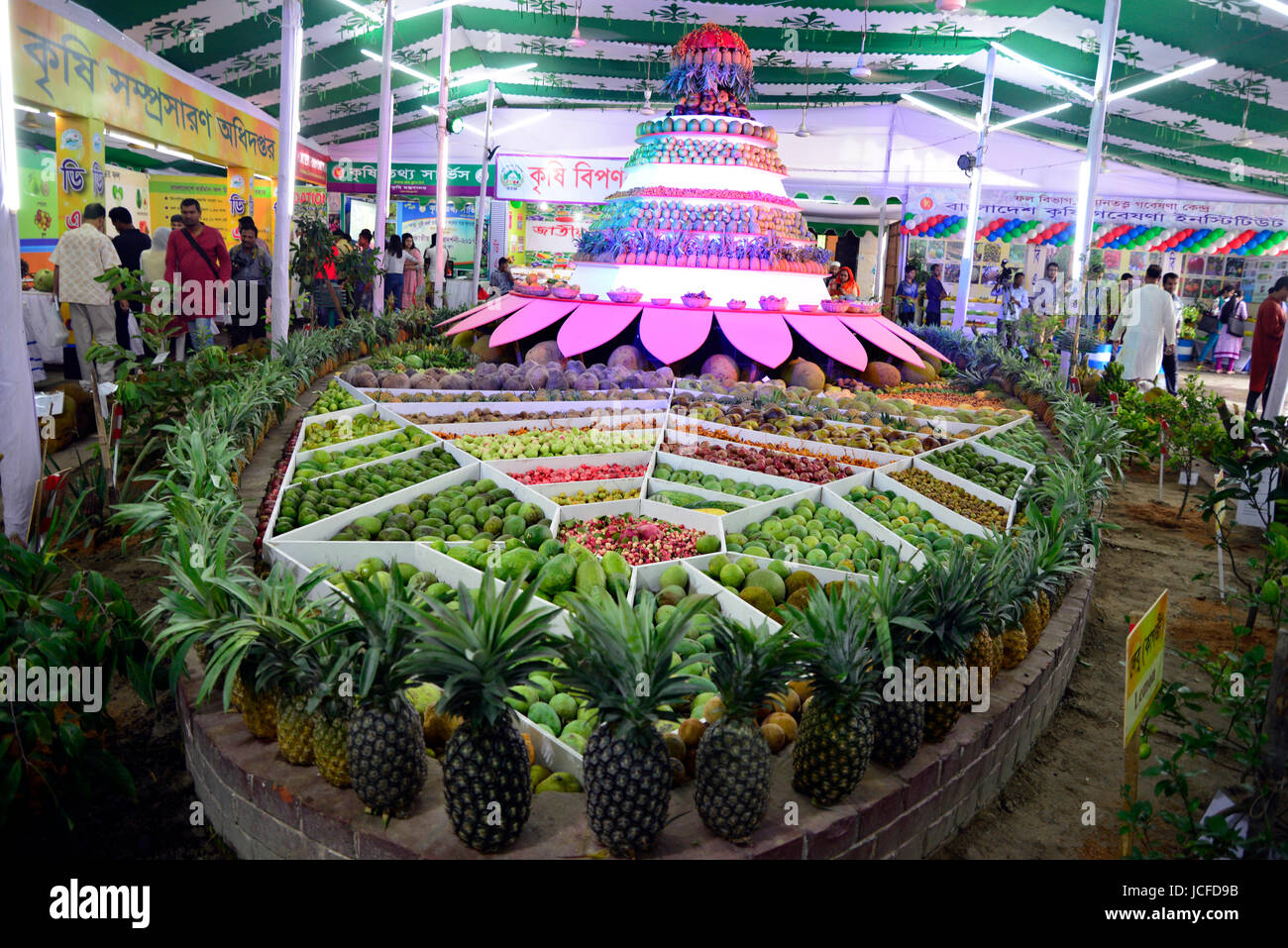 Dhaka, Bangladesh. 16th June, 2017. Bangladesh peoples visits the ...