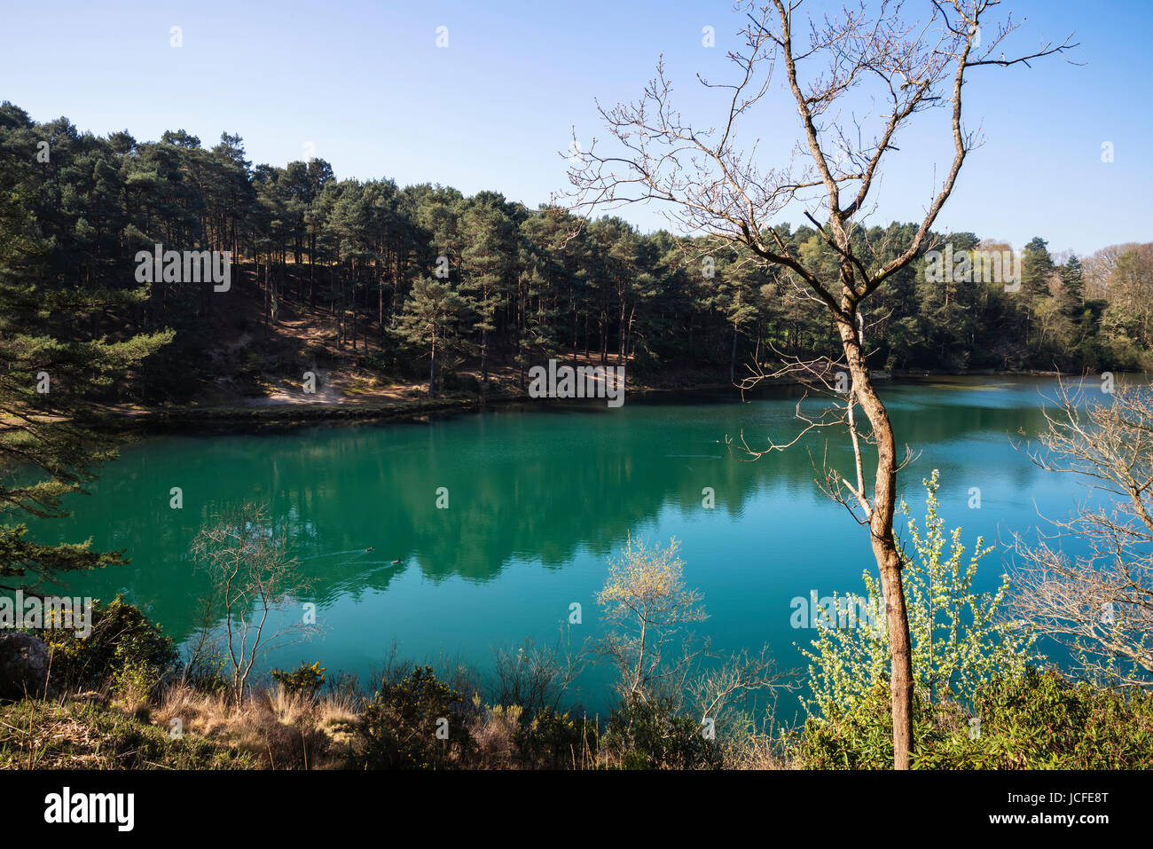 Beautiful landscape image of old clay pit quarry lake with unusual ...