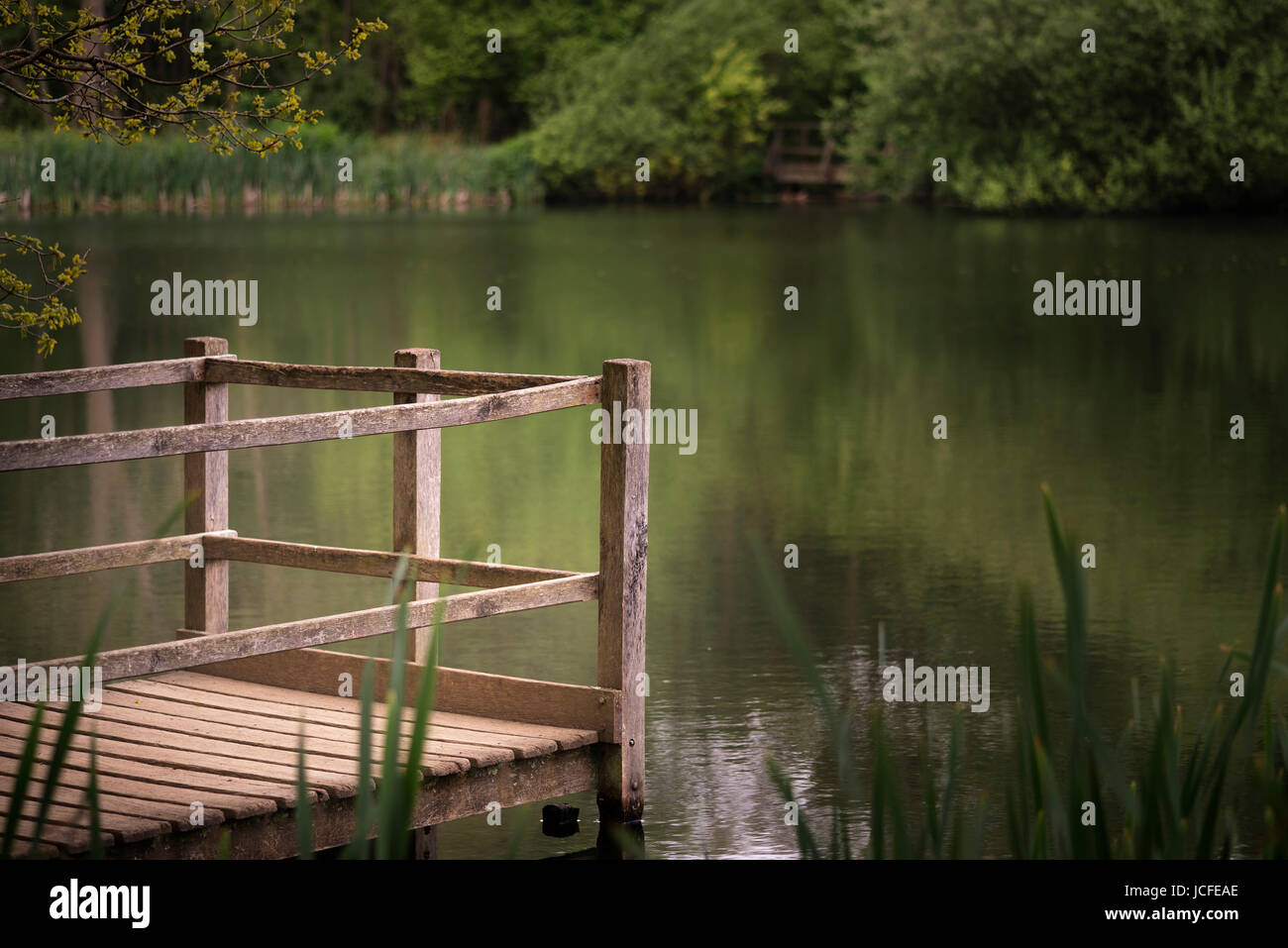 Shallow depth of field landscape image of peaceful Summer lake in ...