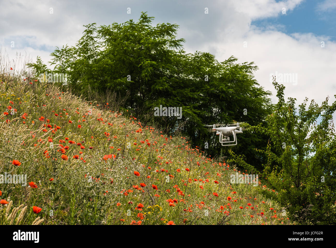 Aircraft over poppies hi-res stock photography and images - Alamy