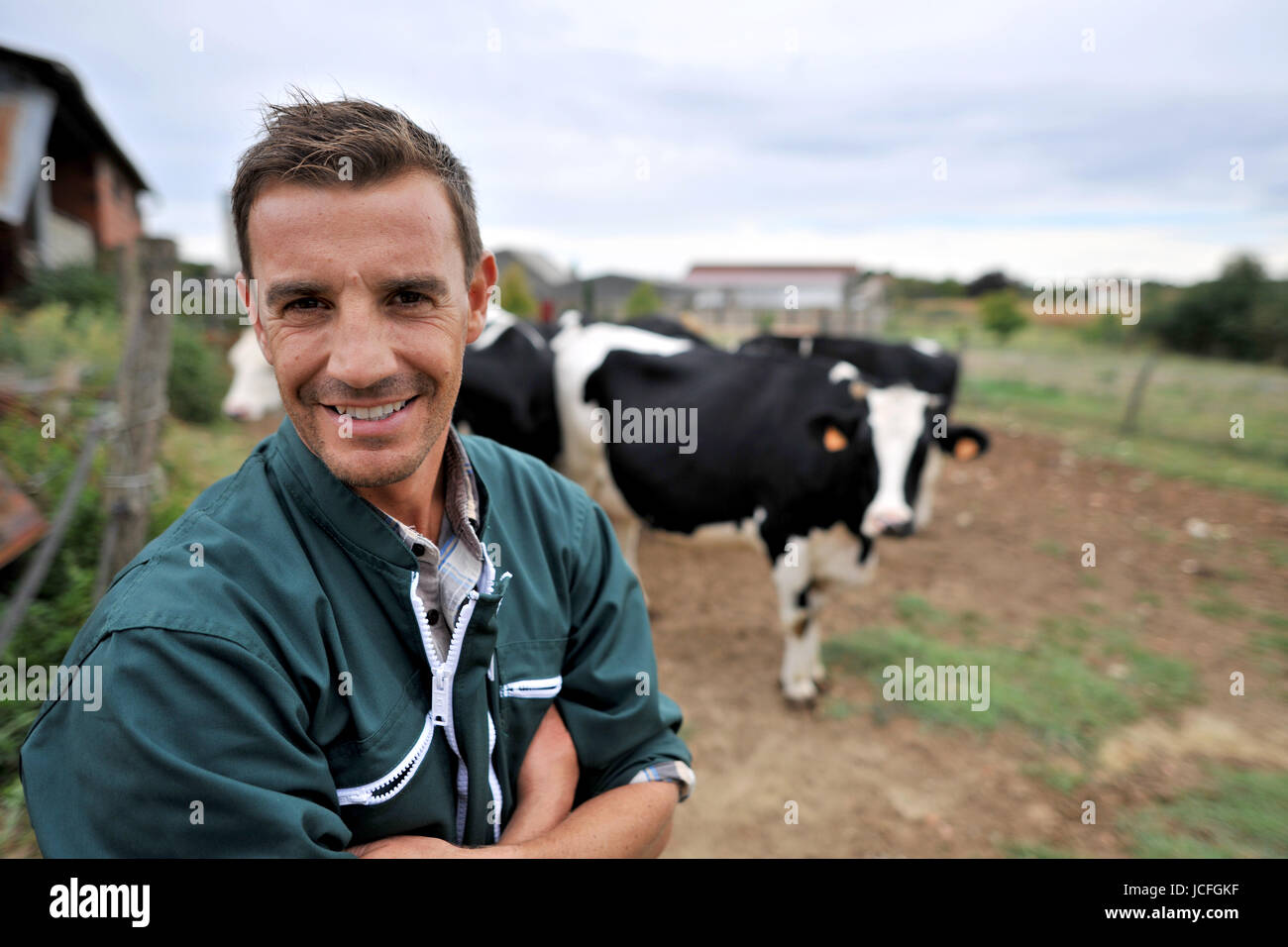 Smiling cow breeder standing in in front of cow herd Stock Photo - Alamy