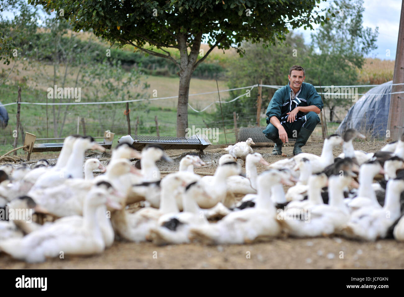 Ducks outside de farm and farmer in background Stock Photo - Alamy