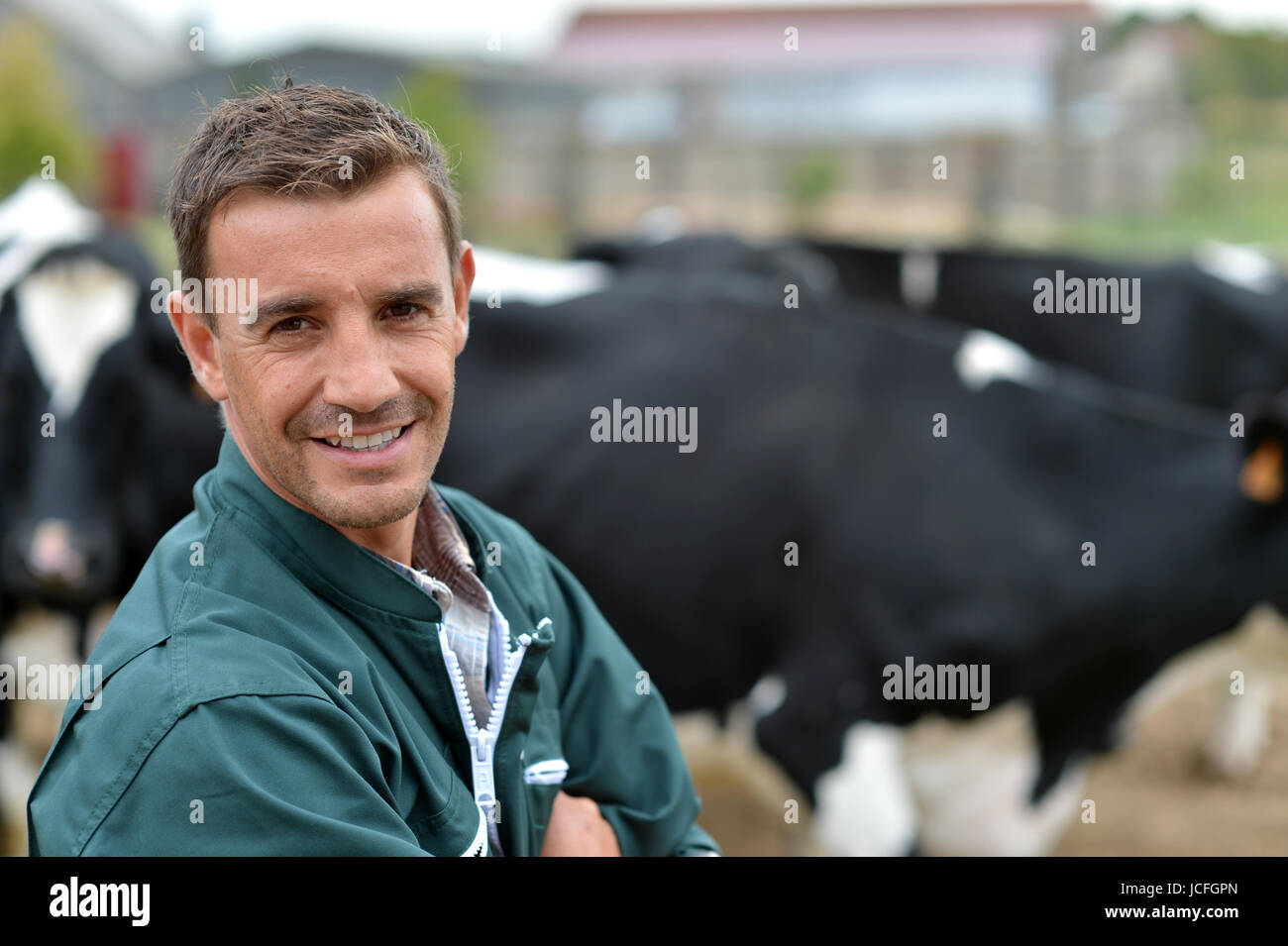 Herdsman standing in front of cattle in farm Stock Photo - Alamy
