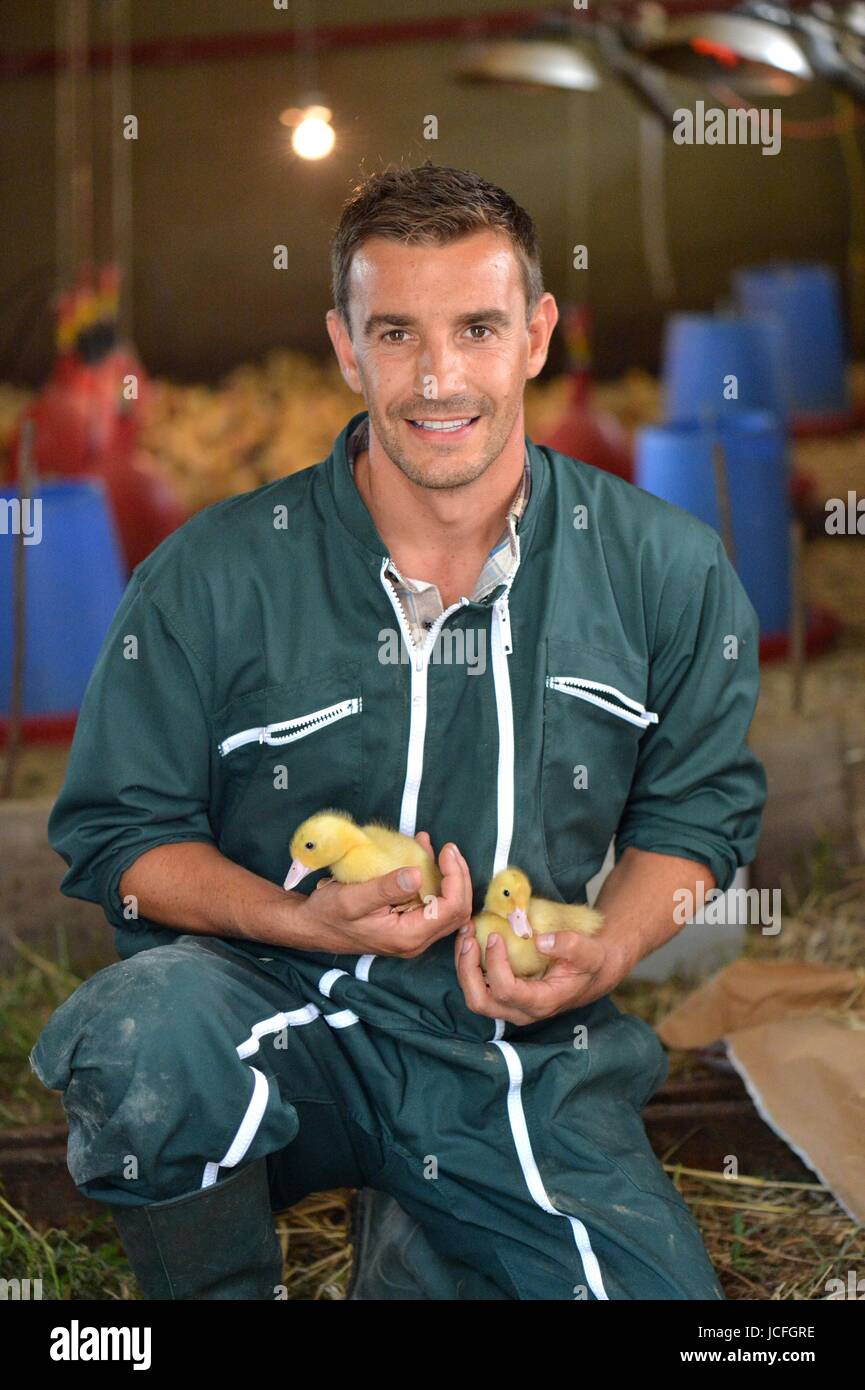 Smiling ducks animals hi-res stock photography and images - Alamy