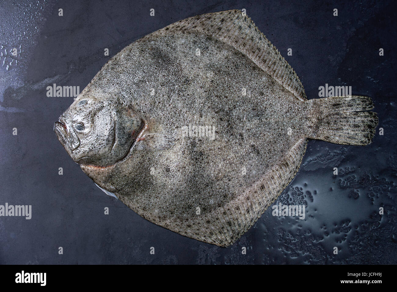 Raw fresh tuna fish Stock Photo - Alamy